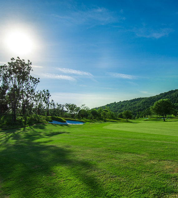 PoaCure | The Cure for Your Poa